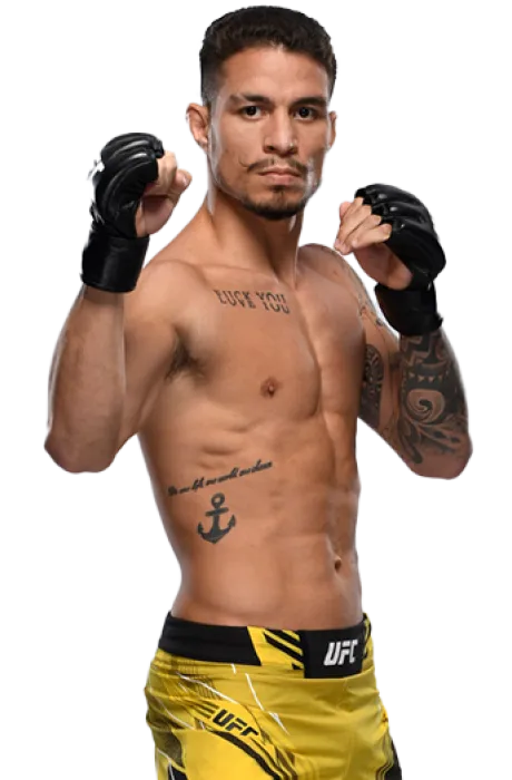 Фелипе Коларес / Felipe Colares «Cabocao» боец MMA - статистика ...